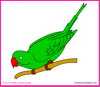 Free Tracing Line Printable: Bird Tracing Picture
