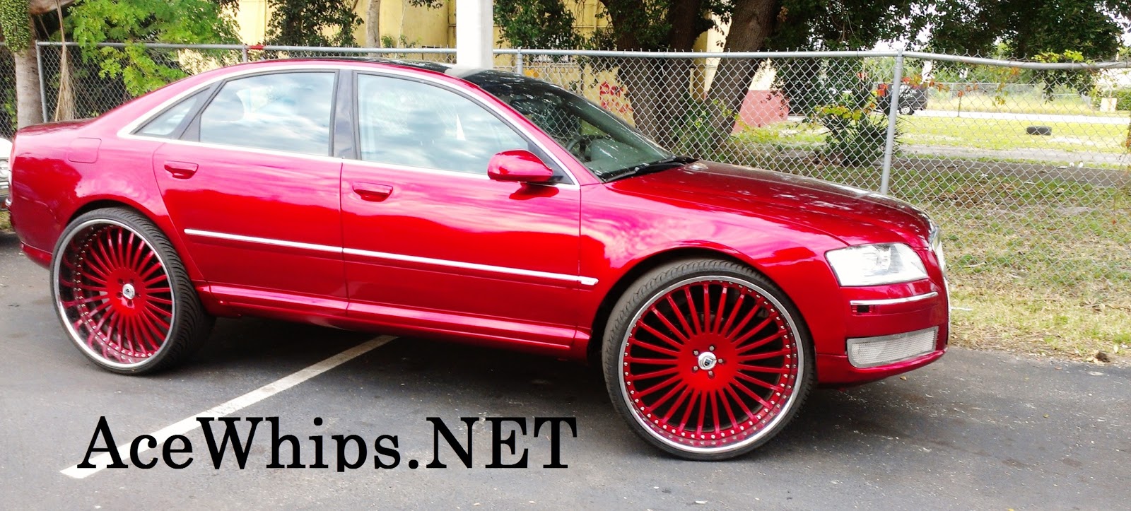 Ace-1: Whips at WTW Customs