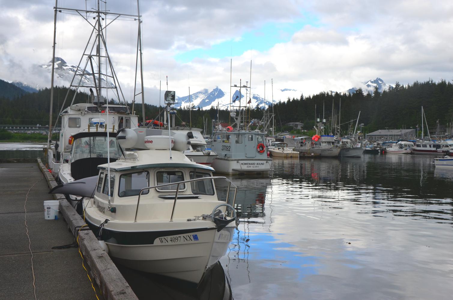 Safe Harbour: Day 27-Auke Bay