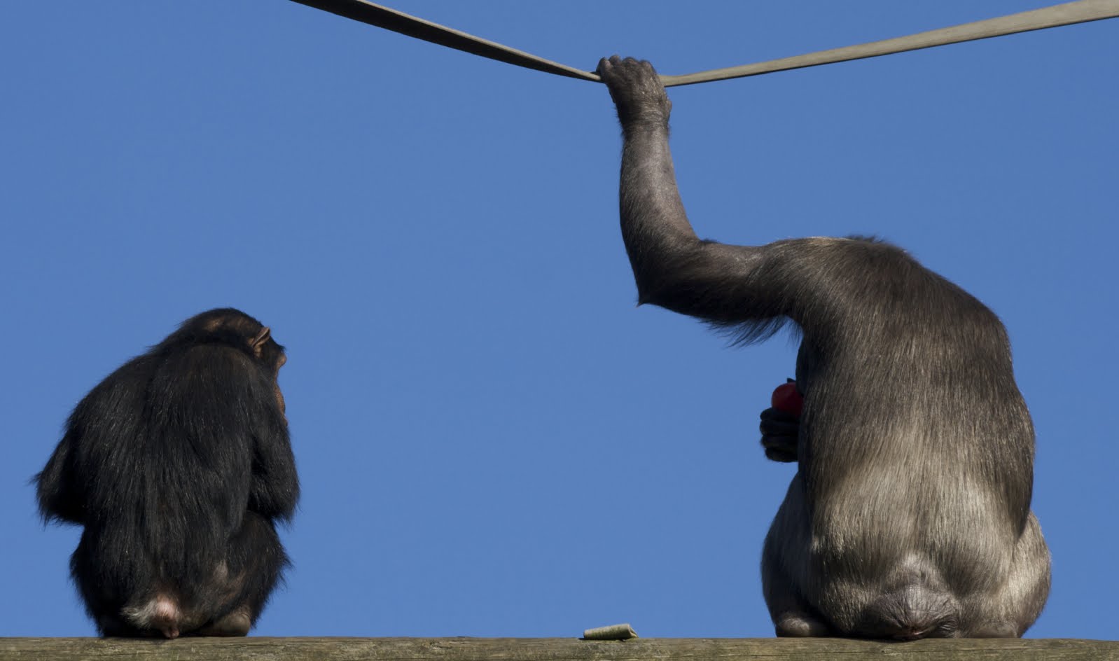 Google search, Google and Search on Pinterest