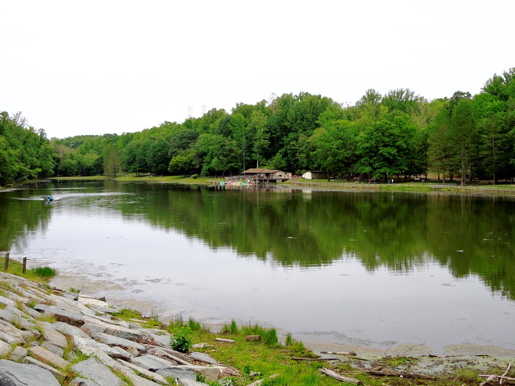 A Curmudgeon Abroad : A brief respite from the wretched stench of failure