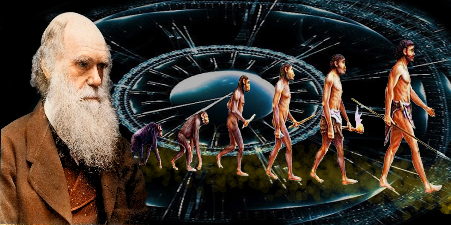 Evolucionismo De Darwin