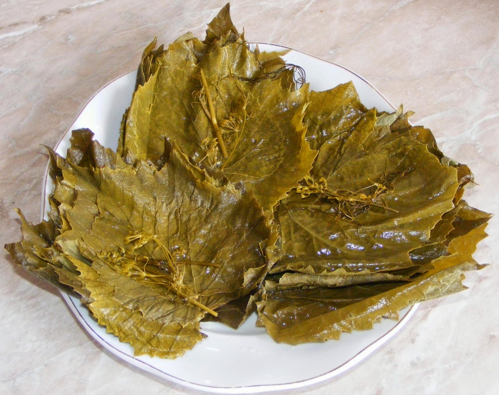 Frunze de vita de vie la saramura | Preparatedevis.ro