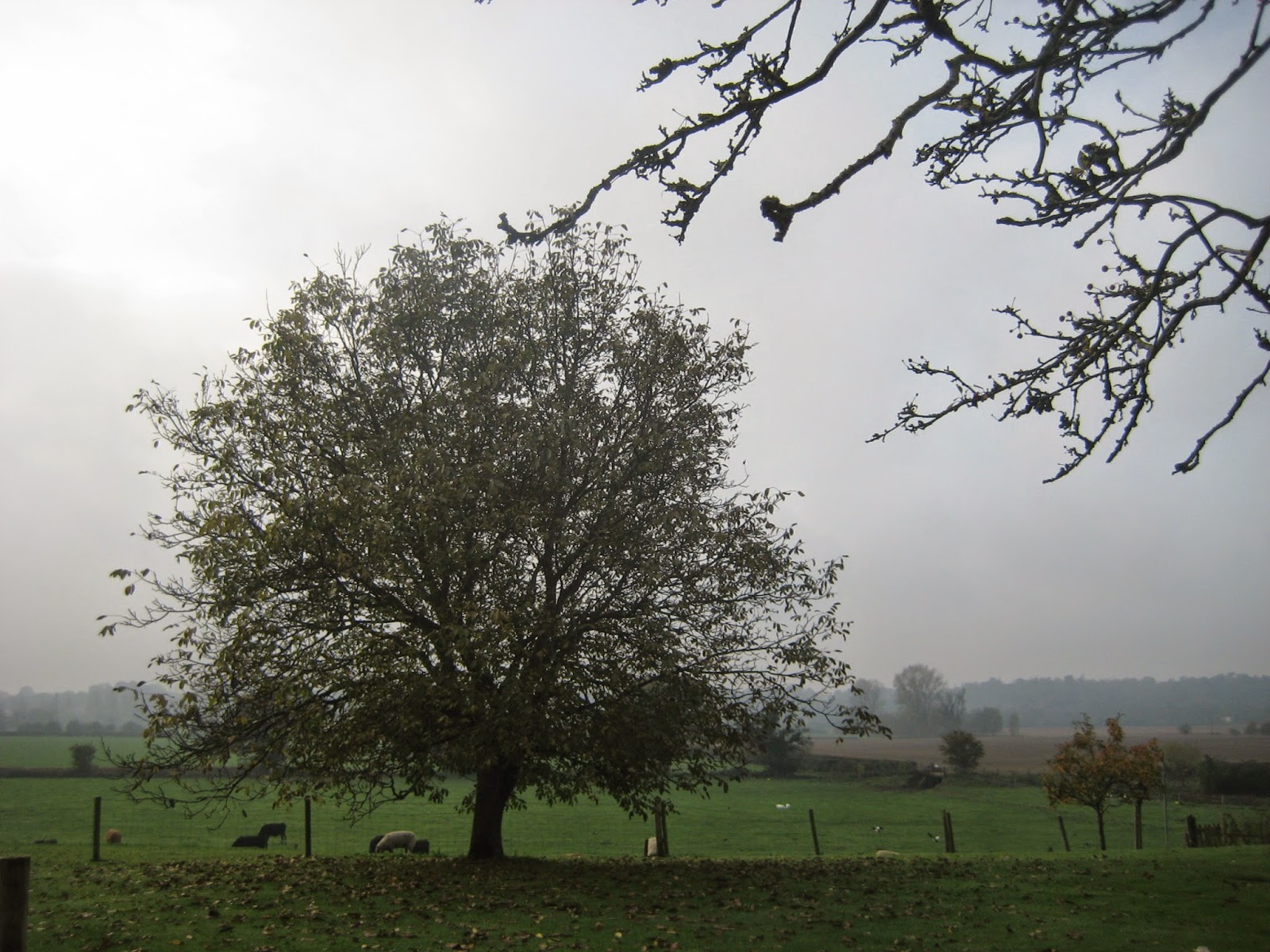Tales of the March Hare: Hall Farm, Stratford St Mary, Dedham, Colchester