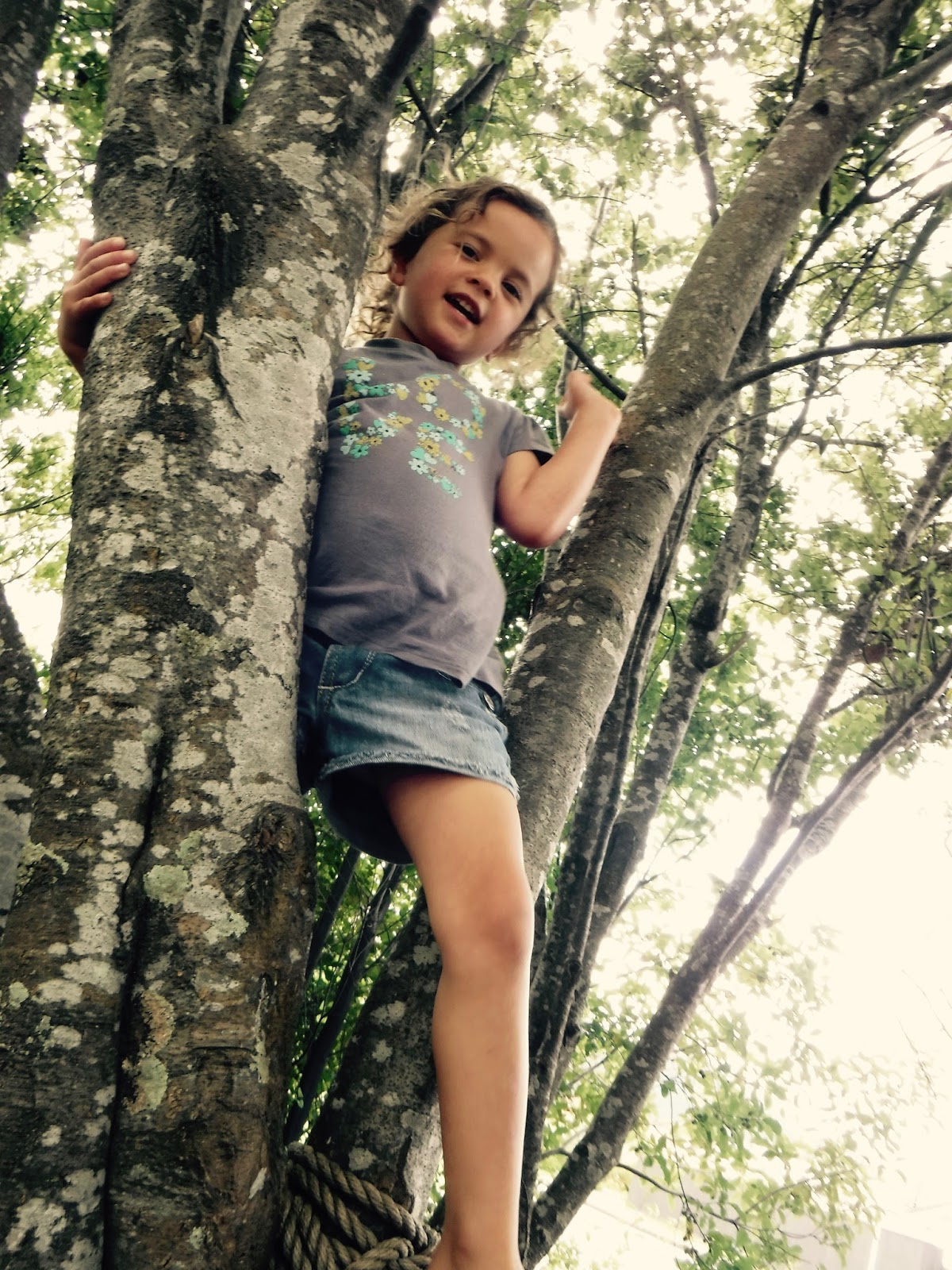 Mairtown Kindergarten: Risky play - children love it and need it.