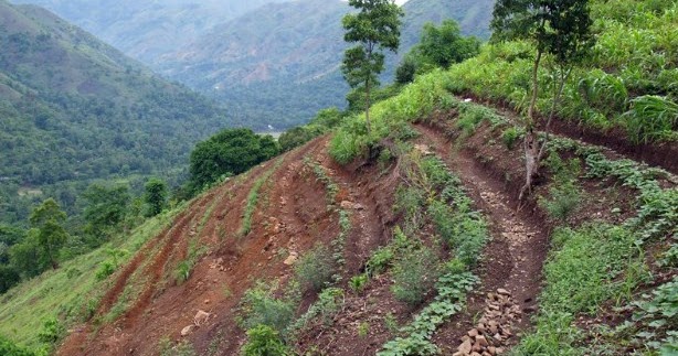 Pengertian, Perbedaan Cara Mekanis dan Kimia dalam Konservasi Tanah