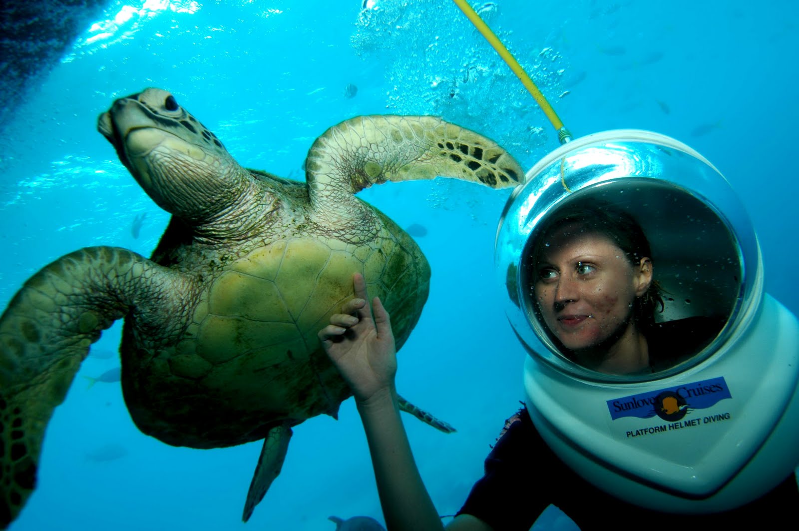 SeaWalker | Travel Wallpapers