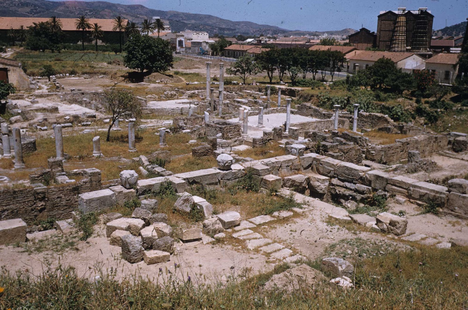 Byzantine Military: Hippo Regius - From Carthage & Rome to Islam