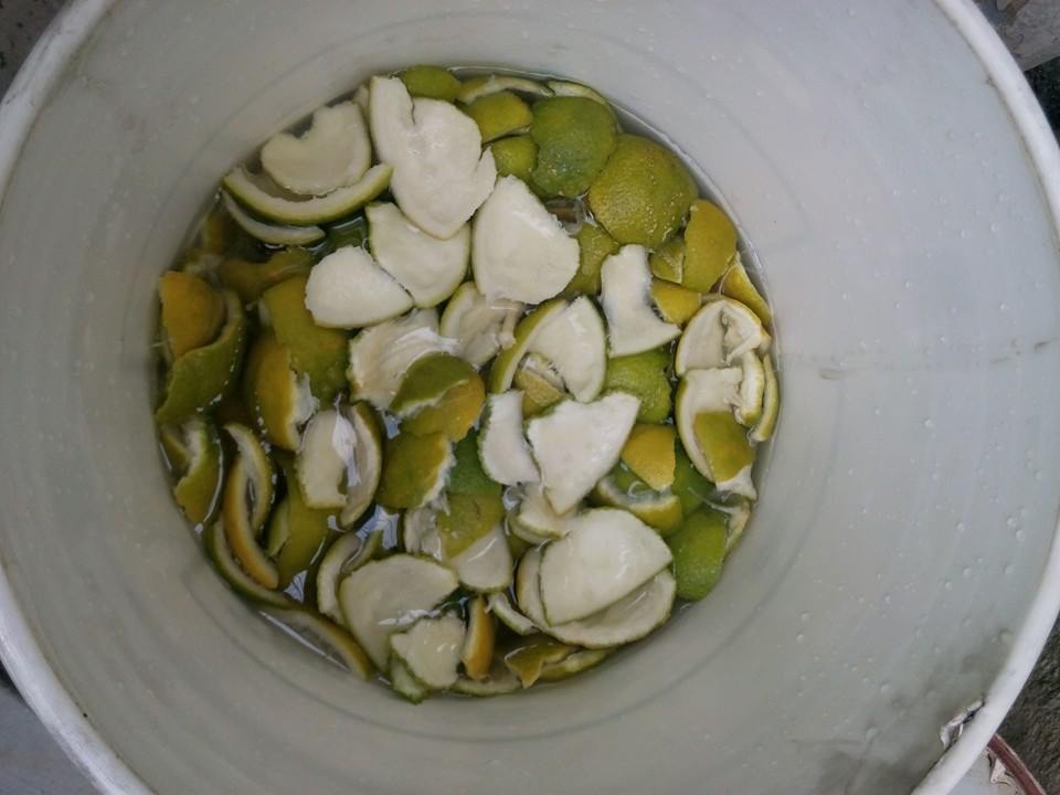 Let's Heal The Soil : Bio Enzyme : A cleaning agent made from Citrus Peels