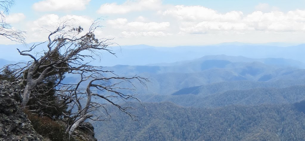 Dzung Nguyen's Blog: Mt Cobbler Walk