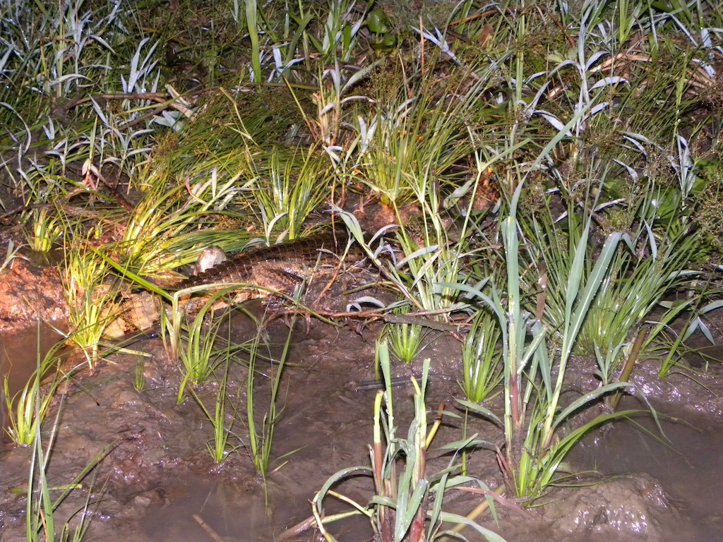 Ma passion : la Biodiversité