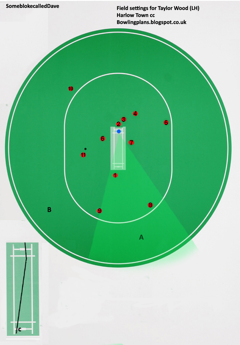 SomeblokecalledDaves Bowling Plans, fields and strategies
