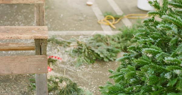 Photodays: Goodbye Christmas