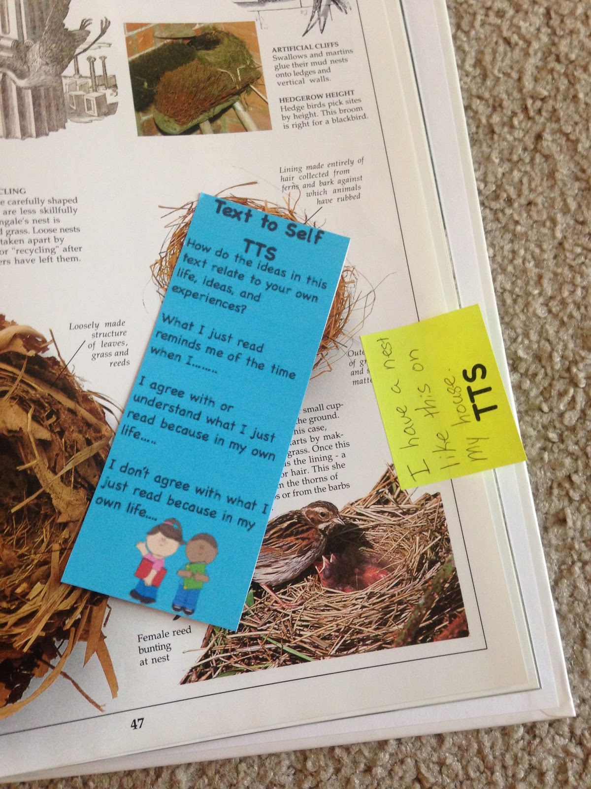 Stand Out Teaching Strategies: Making Reading Connections Through Text ...