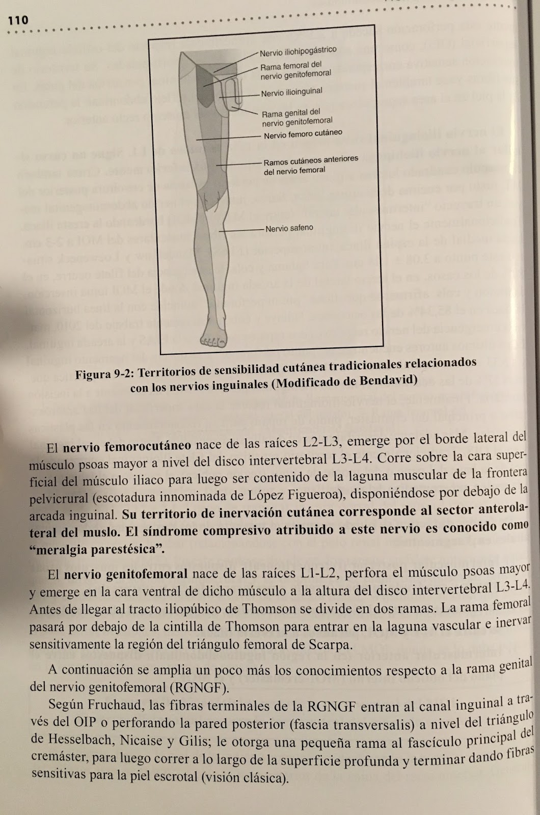 Cuadernos de Anatomía Quirúrgica: Anatomía quirúrgica de la neuralgia ...