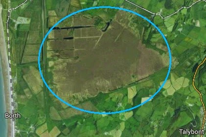 Helen Campbell - Wetland Science: October 2014