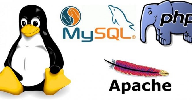 Instalando apache + mysql + phpmyadmin [Linux] ~ Tibia Staff