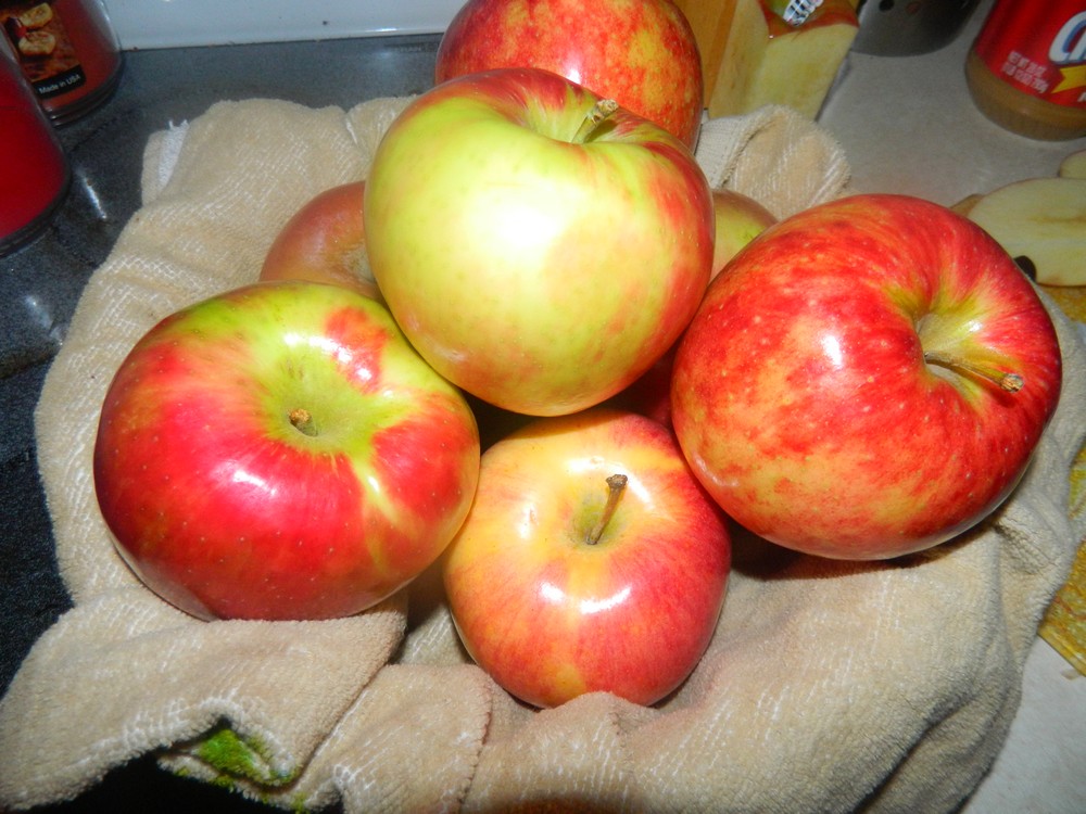 Chubby Vegan Mom: Slow cooker applesauce, a side dish you don't want to ...