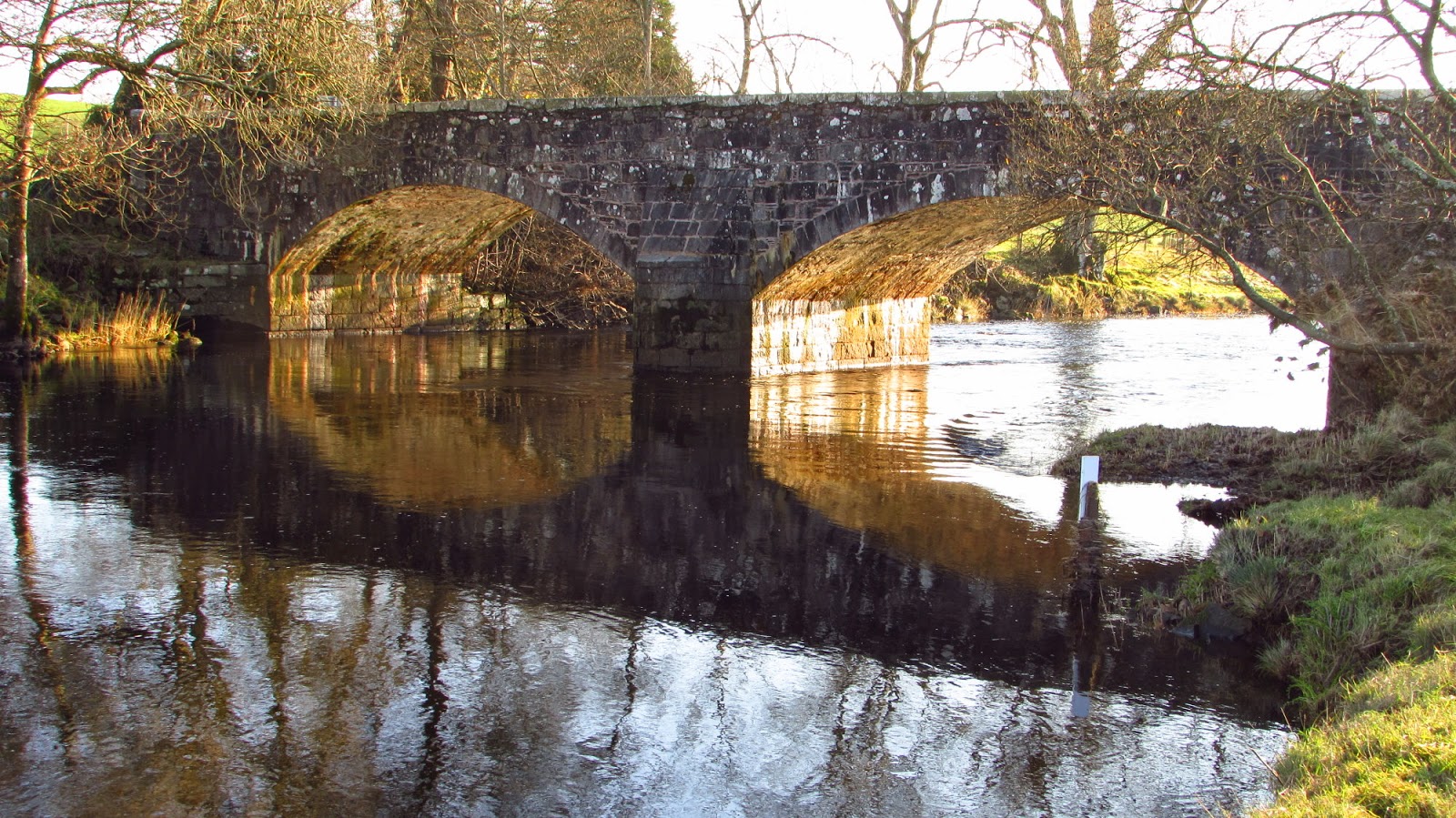 The Glebe Blog: A Photo Farrago