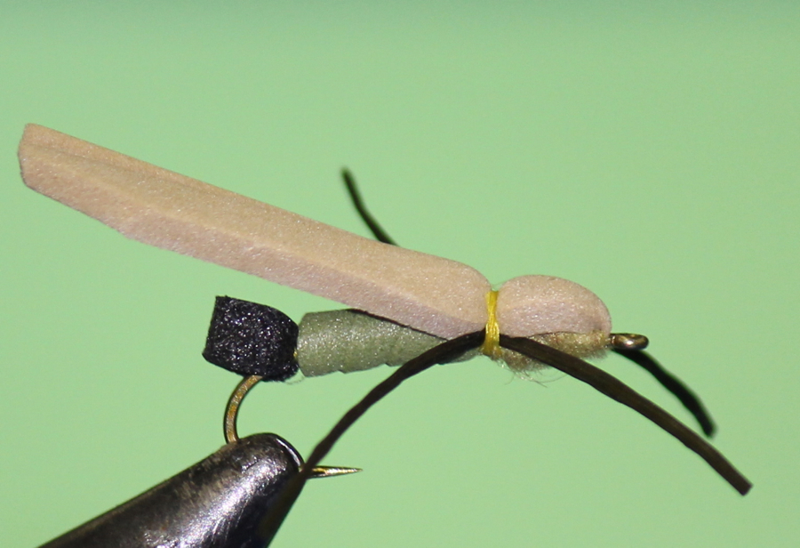 Central Alberta Fly Tying Club: Caddis and Stones with Tim Maley