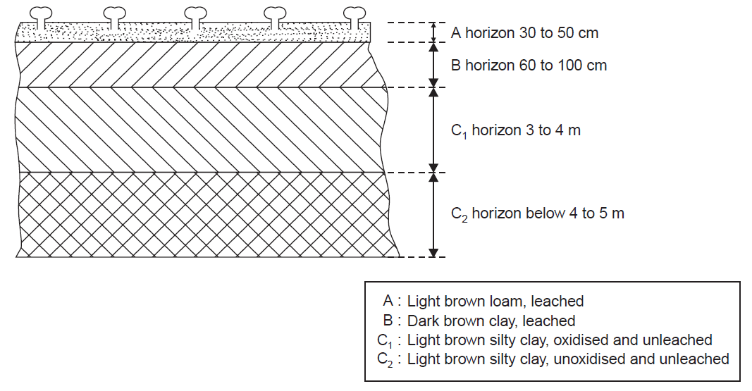 CIVILSTAGRAM: About Soil -(Formation,soil profile,structure of soil,types)