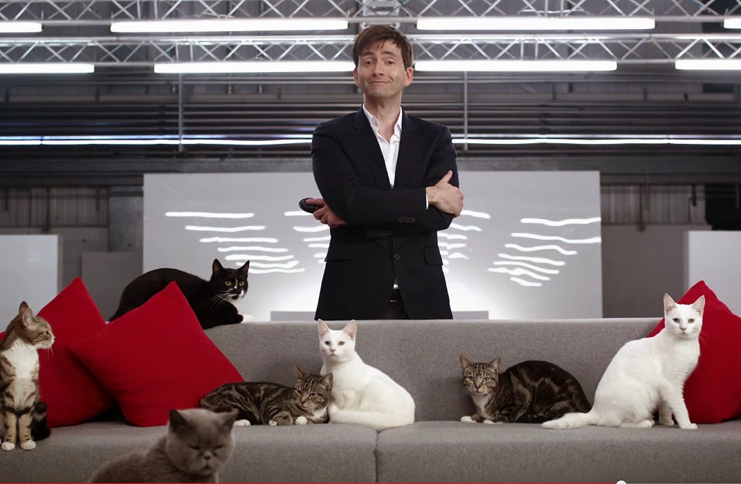 VIDEO: It's World Cat Day! Cats! David Tennant! Together!