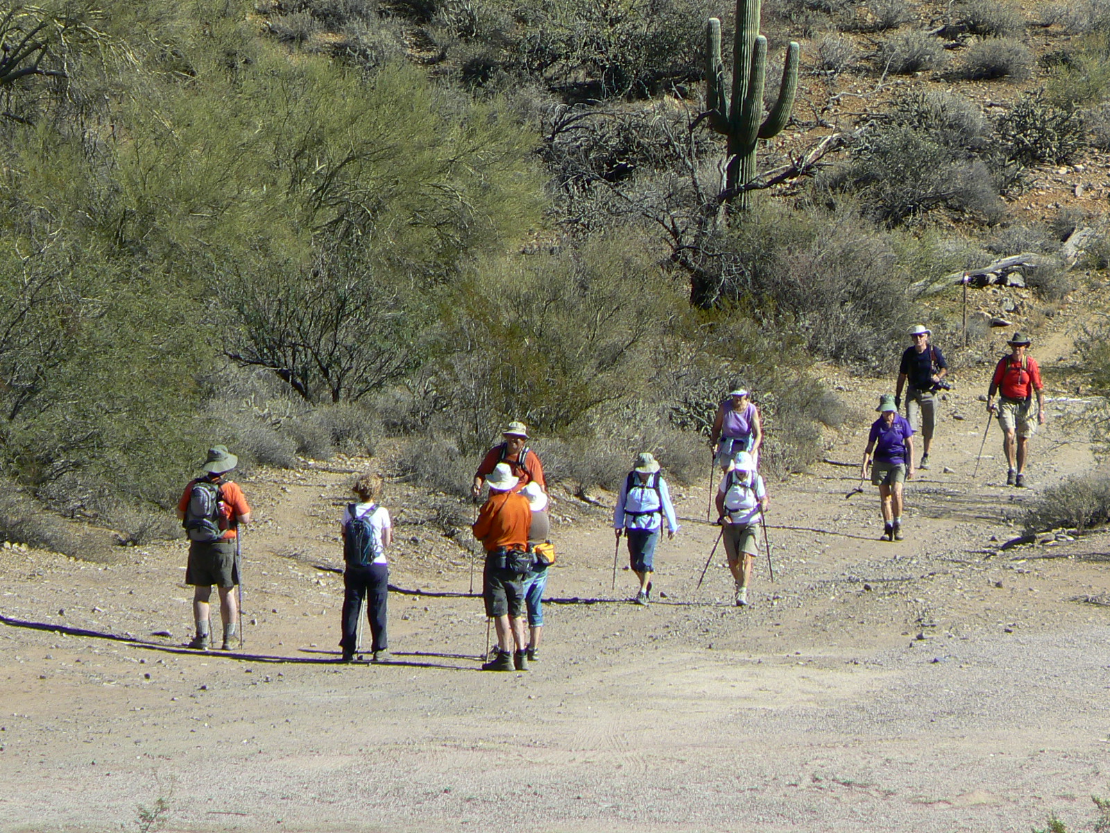 Palm Creek Hikers: Dixie Mine Trail Hike November 23, 2012