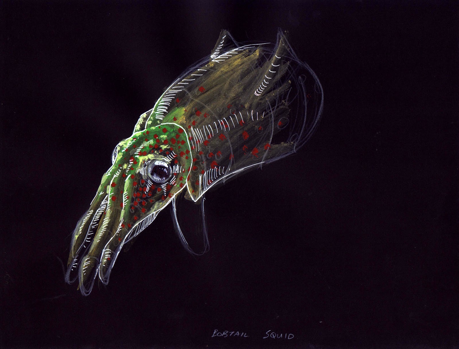 Tyler Chow: Deep Sea Creatures! Bioluminous Gouache