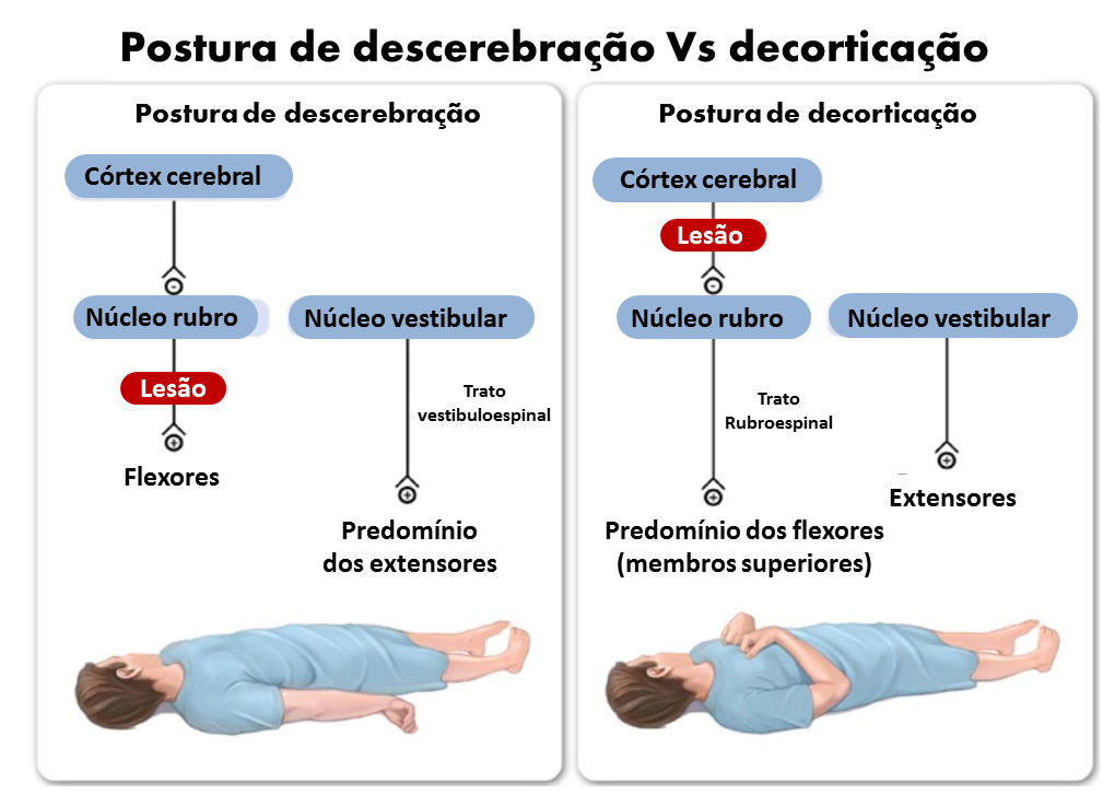 O Guia do Fisioterapeuta