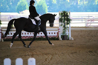 One Equestrian's Journey: Dedication of the Suzanne Mott Dansby Arena