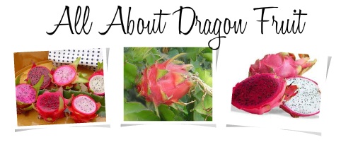 The Earth of India: All About Dragon Fruit