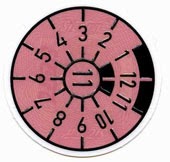 Schnitzel Republic: The TUV Story