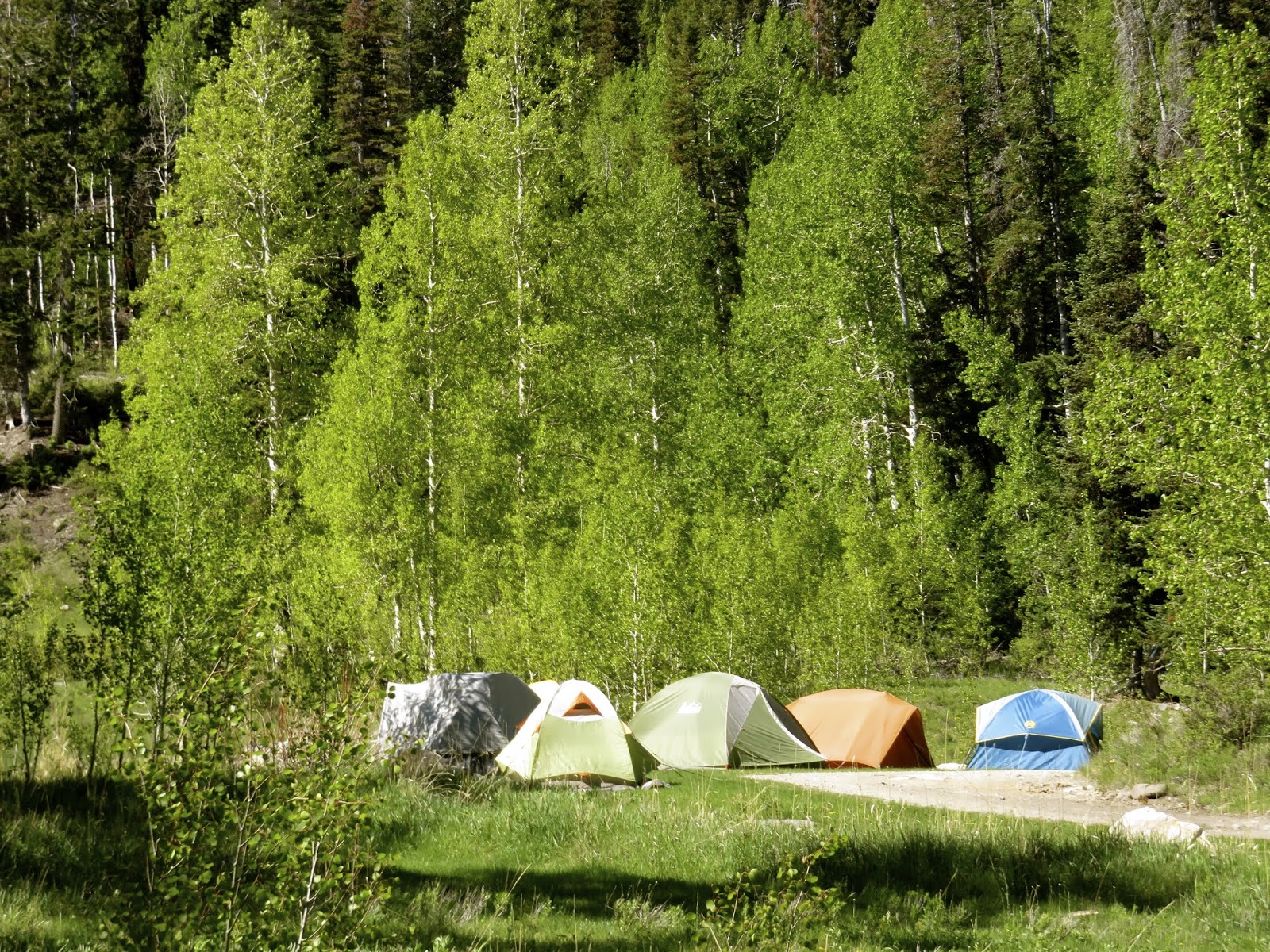 One Day in America: Avintaquin Campground in the Ashley National Forest ...