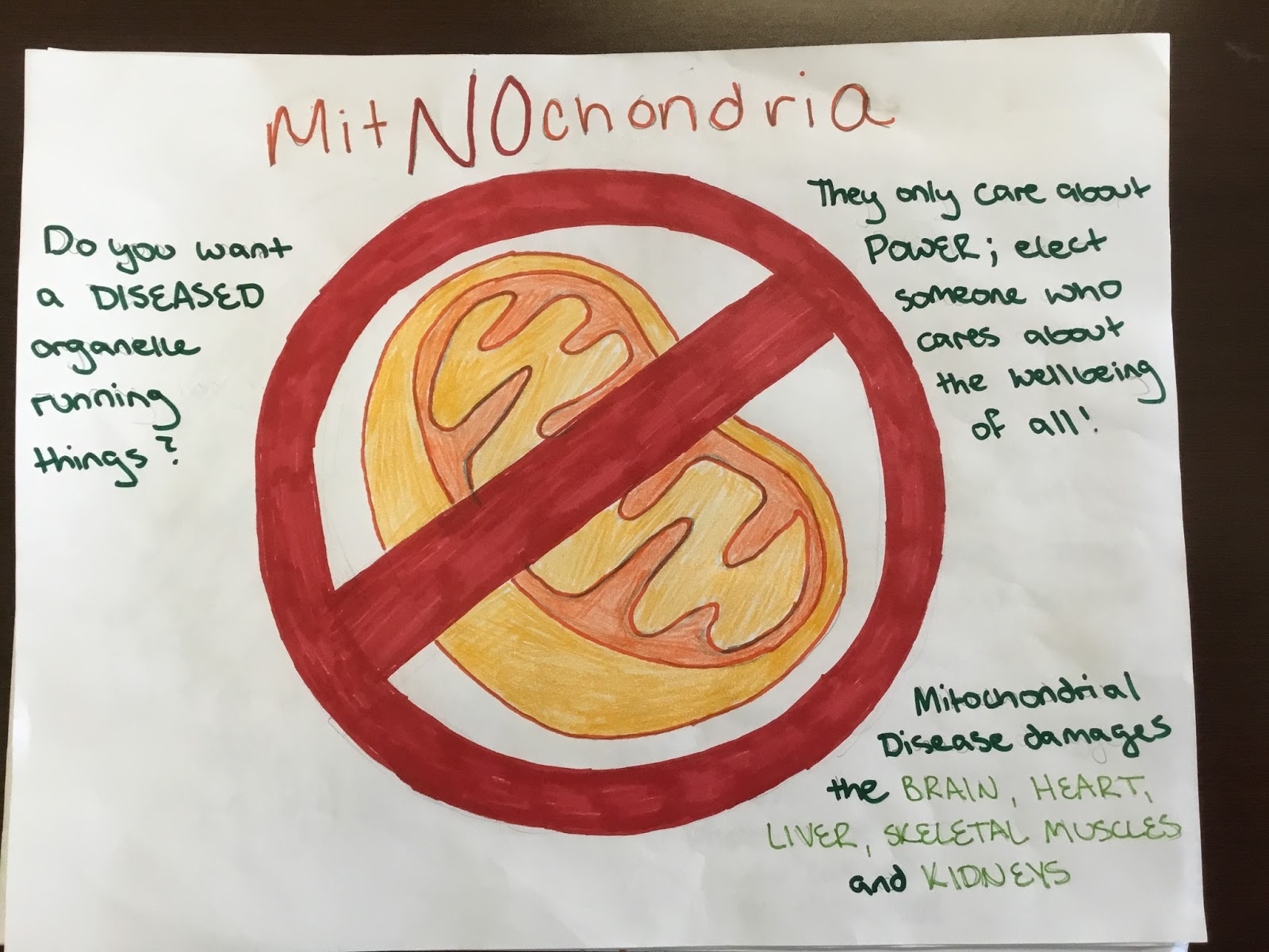 Biology by the Math Mom: Organelle Elections
