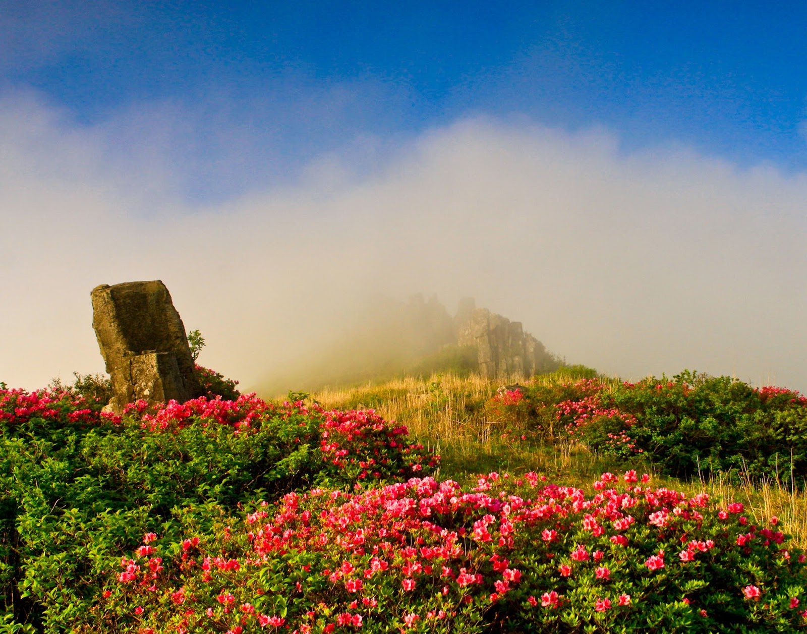 Beautiful World: Jeju Island: South Korea - The 7 Wonders Of Natural