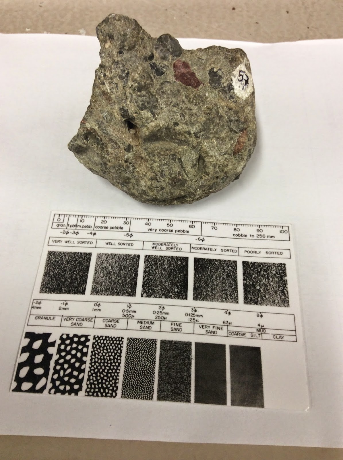 Canterbury Geology: Sedimentary Hand Samples