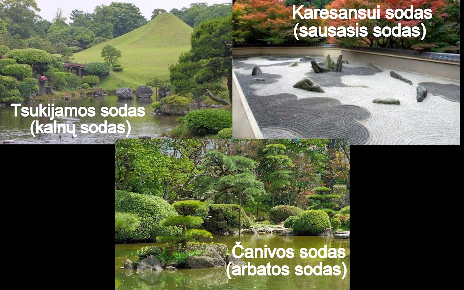 JAPONIJA: Japonijos tradicijos