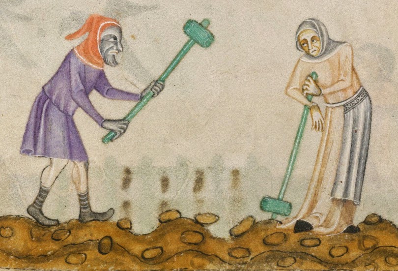 Iconos Medievales : La vida cotidiana en el salterio de Luttrell