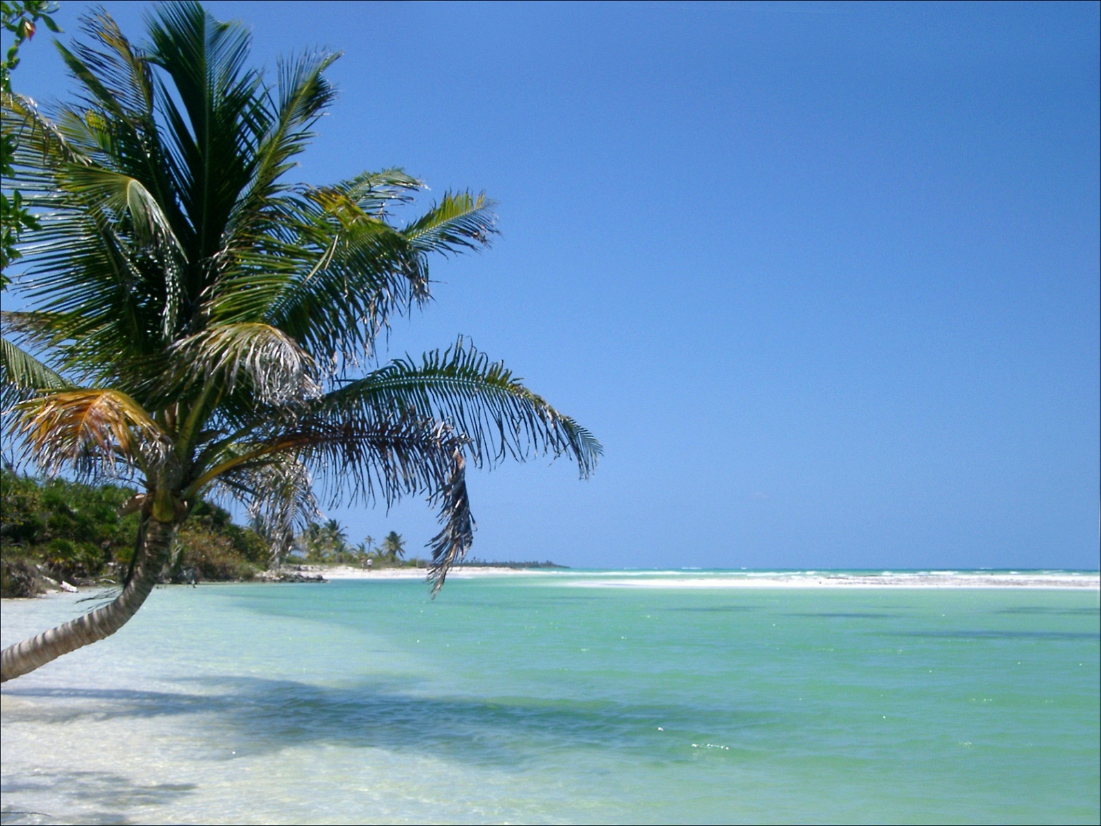 Sea Beach HD Wallpaperes ~ Wallpaper & Pictures