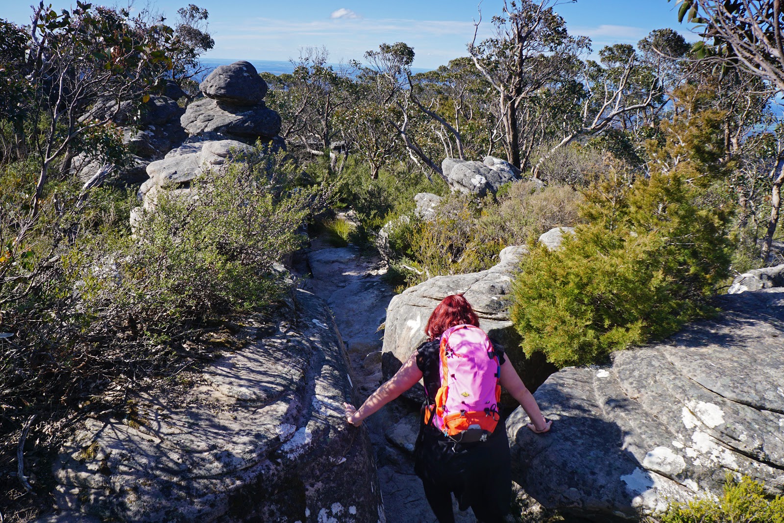 Mt Rosea Loop (Grampians National Park) ~ The Long Way's Better