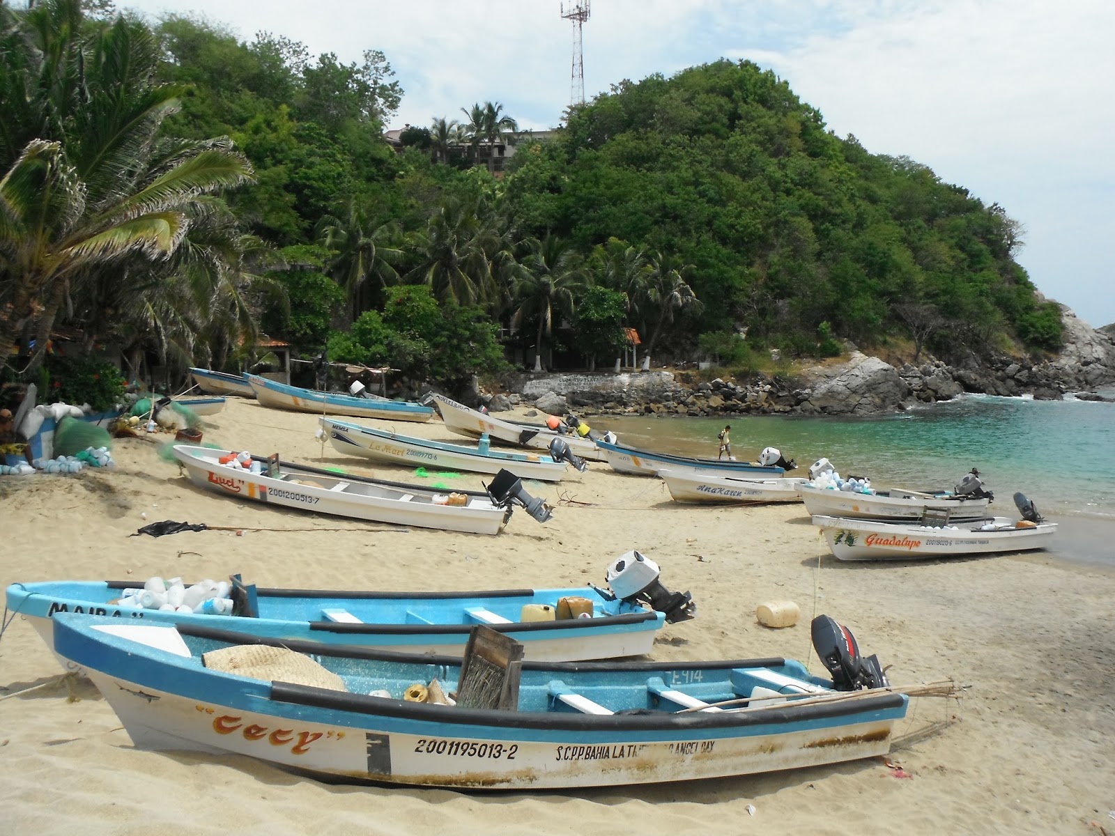 Ecoturismo México: Puerto Angel - Oaxaca
