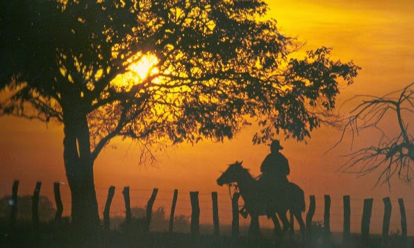 Región Llanera-Venezuela: Estados de los Llanos