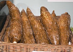 " Mehitenged te mge Menuvu' " (all about Menuvu'): How to Make "Agkud ...