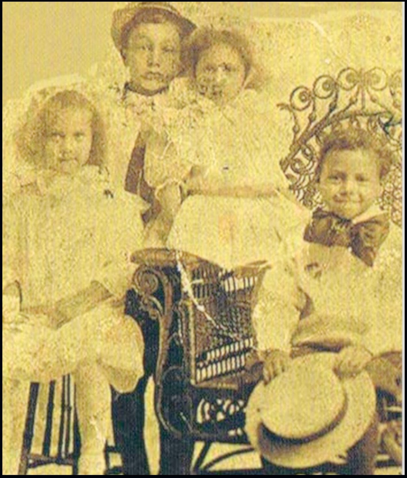 Brown Sugar: Over 80 Years of America's Black Female Superstars: Fredi ...