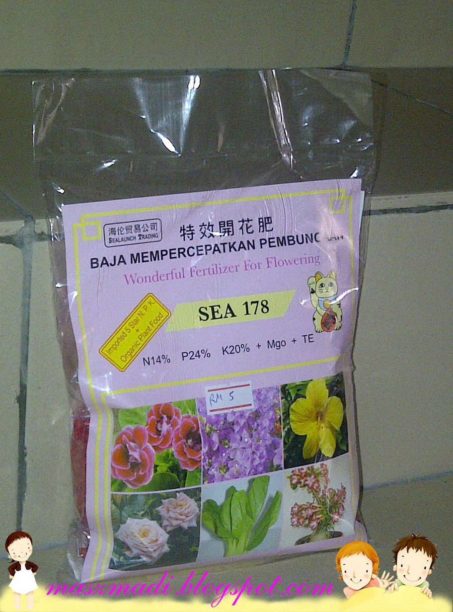 *dah beli baja untuk pokok TerataKami* | ! Si Blogger Mama