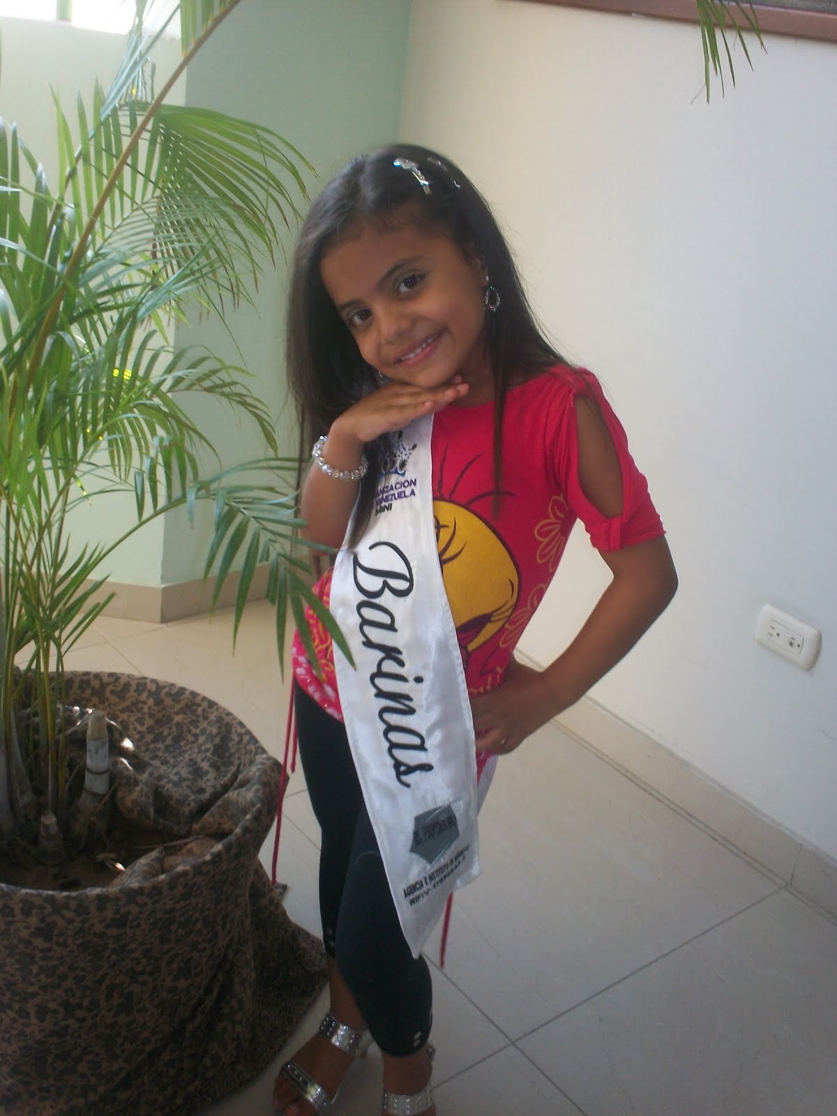 LA MINI MISS: mini venezuela