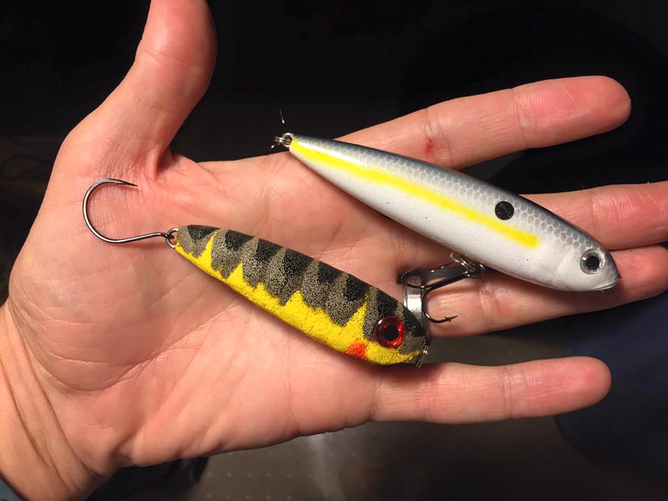 Bobcat Hollow Fly Fishing/Tying: June 2016