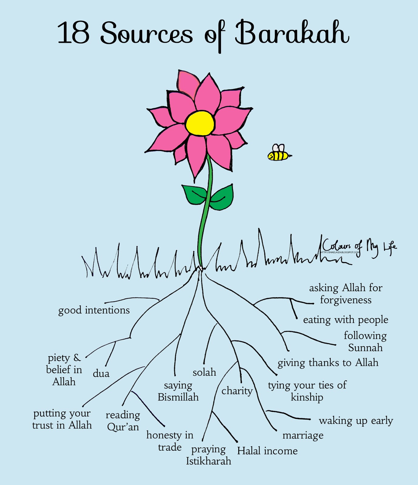 Saudi Arabian Nights Lifestyle Blog: Seeking Barakah:18 sources of Barakah
