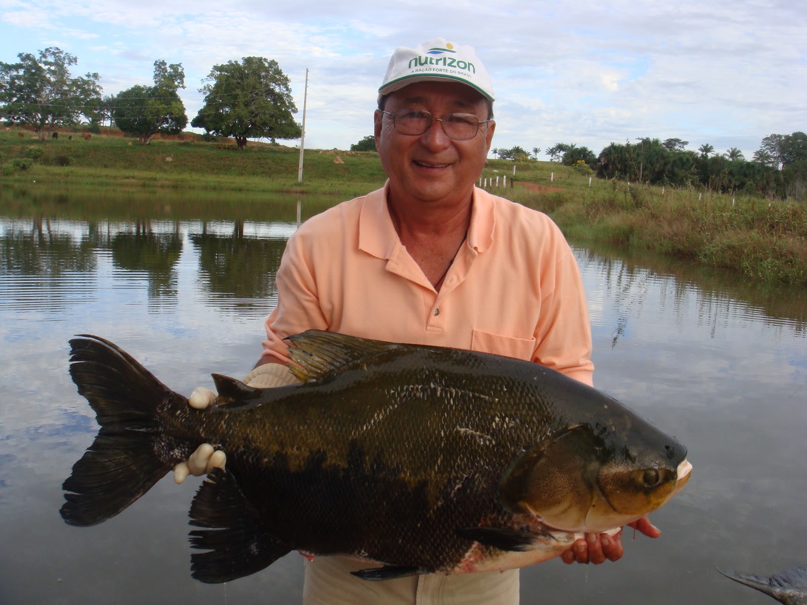 Reprodução e Nutrição de Peixes: Rondônia torna-se o maior produtor de ... Reprodução e Nutrição de Peixes: Rondônia torna-se o maior produtor de ...