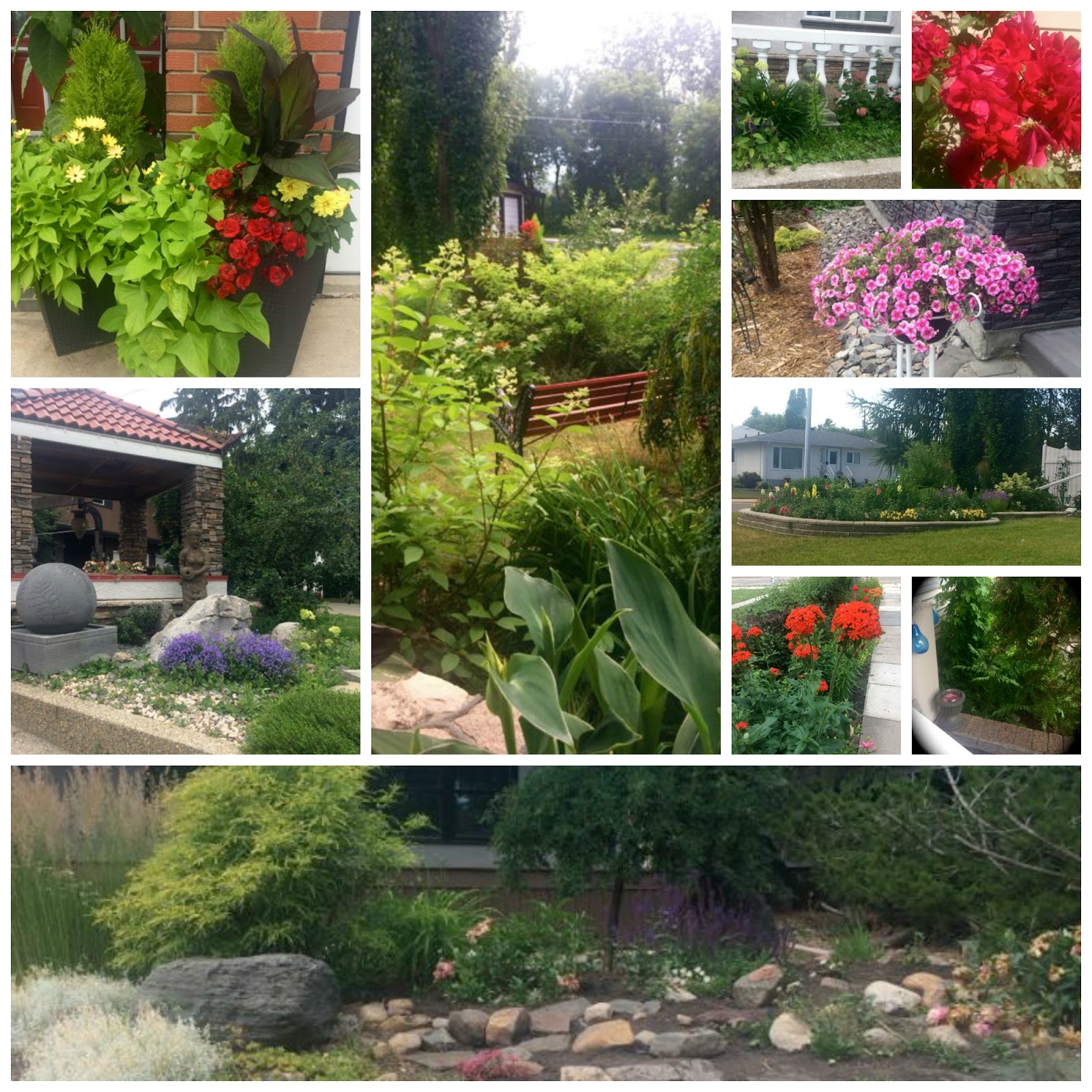 LIVING THE GARDENING LIFE